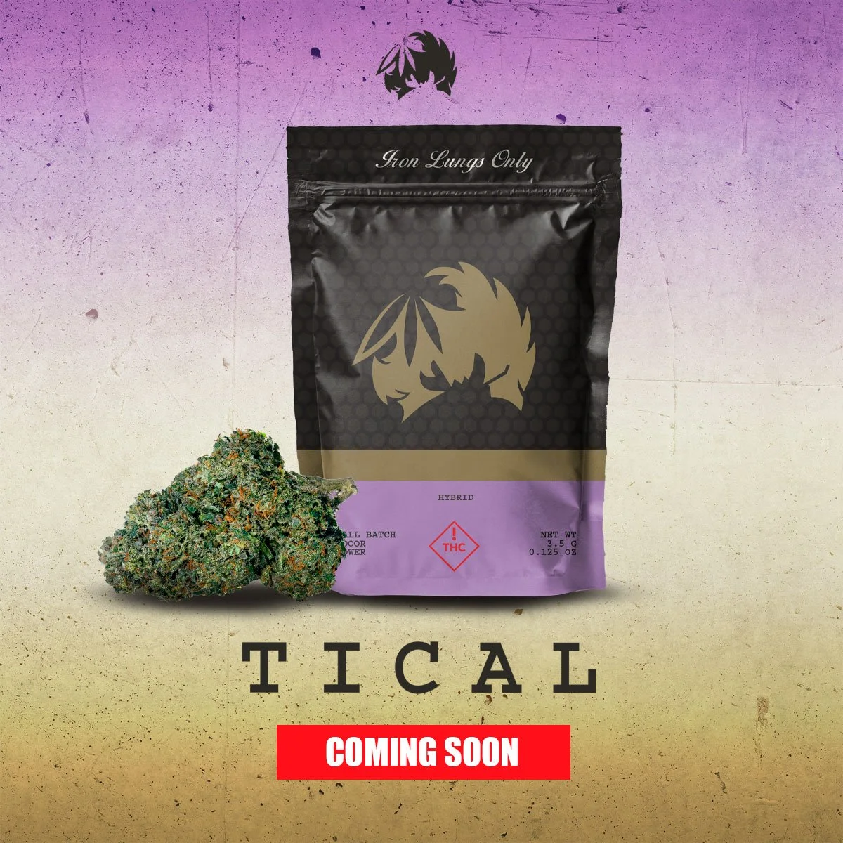 Florida Home — TICAL™ - Official Website - Taking Into Consideration ...