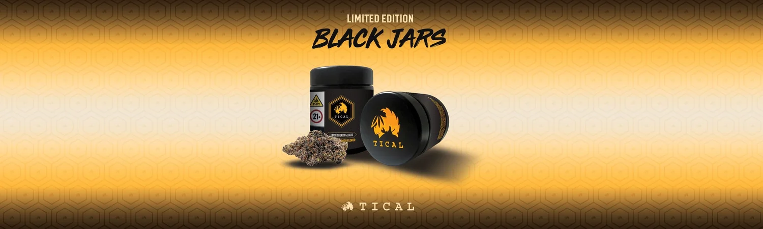 TICAL™ - Official Website - Taking Into Consideration All Lives