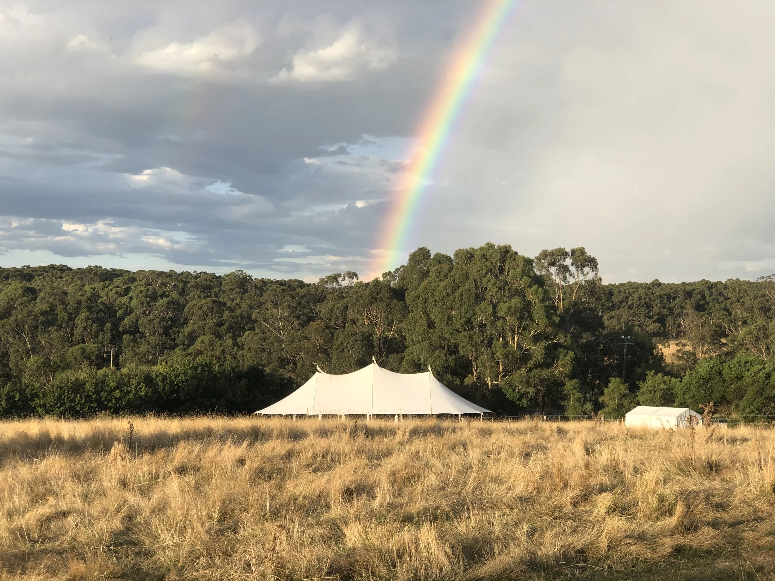 Events — Black Cat Truffles