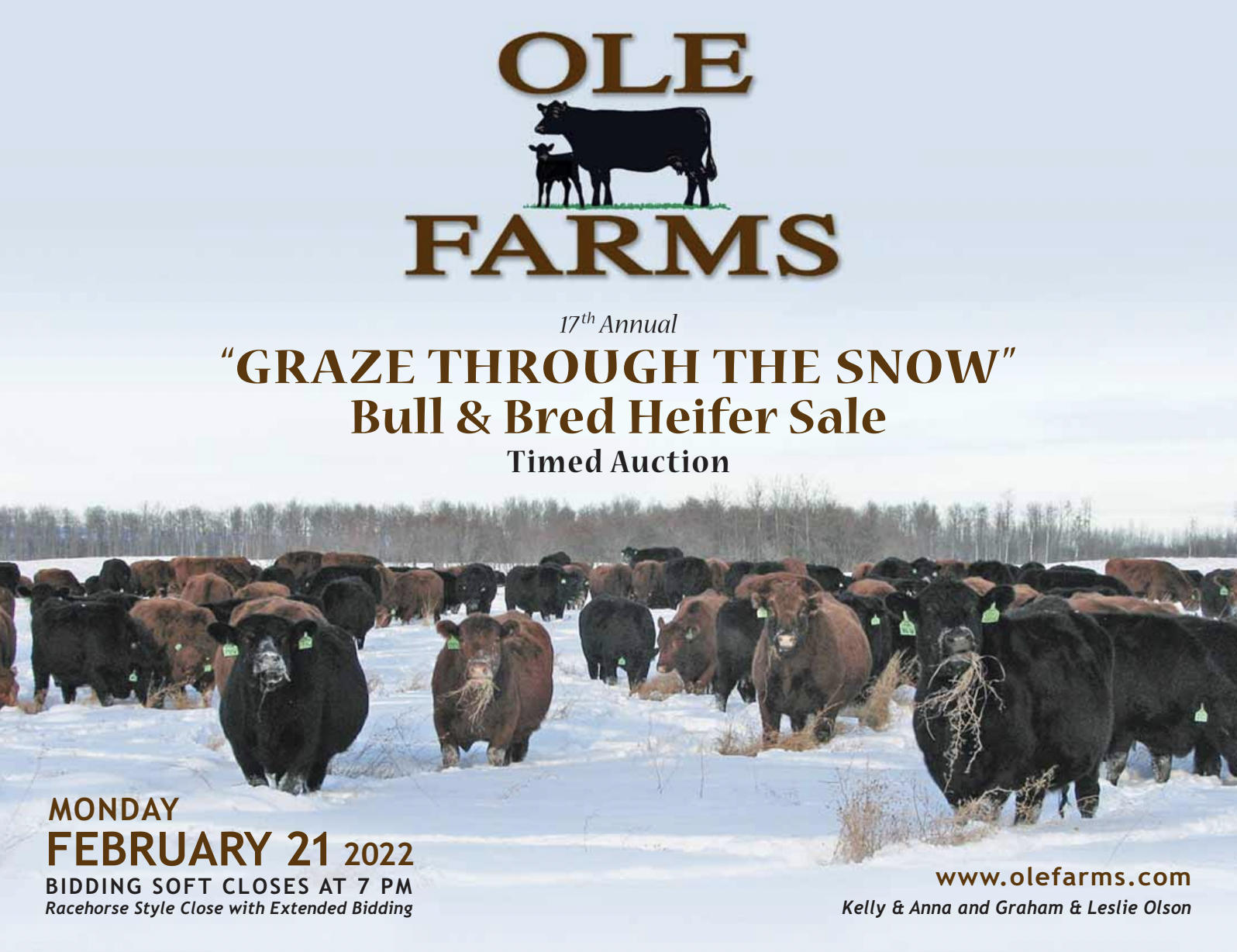 Ole Farms - Registered Red & Black Angus