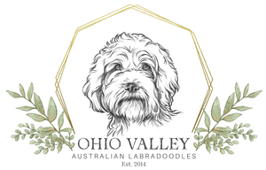 Ohio Valley Labradoodles