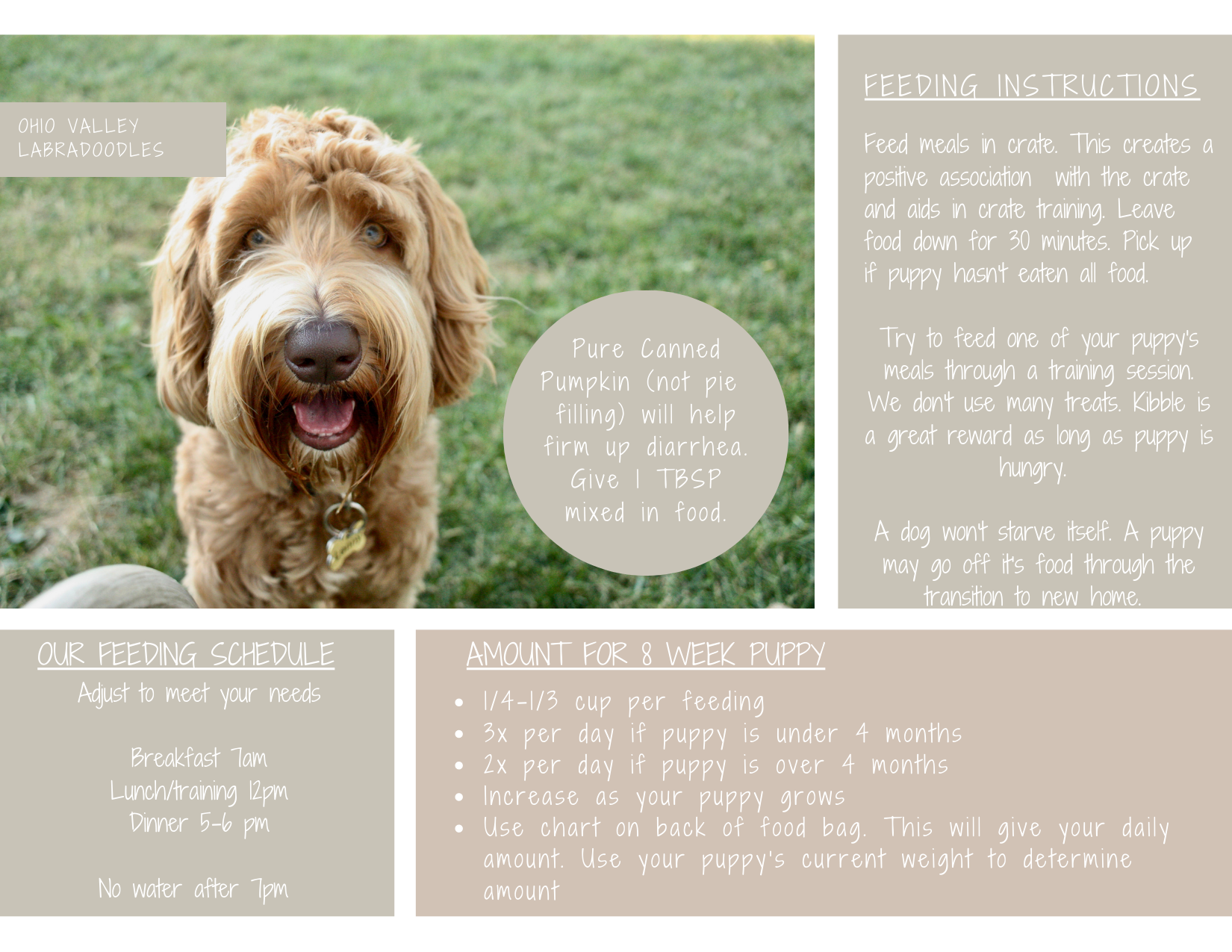 General 2 — Ohio Valley Labradoodles