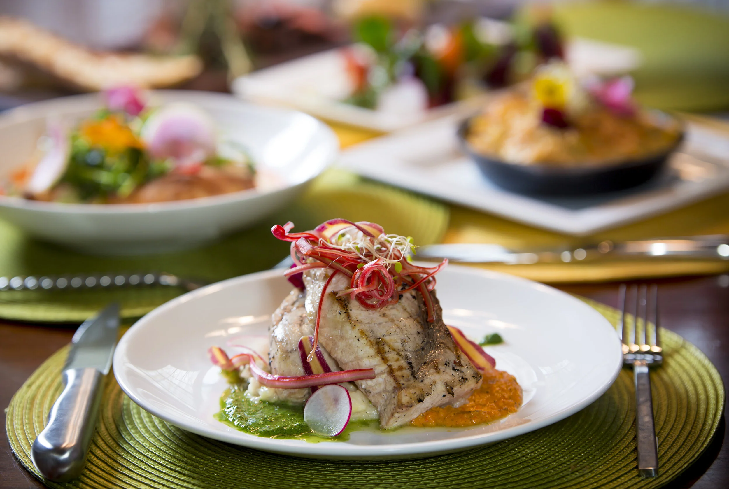 Gallery 1 — Dino Petrocelli Photography