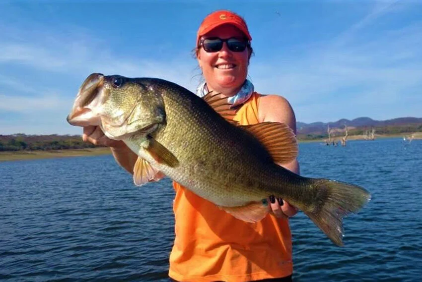 Book A Dream Trip With Us — Half Past First Cast