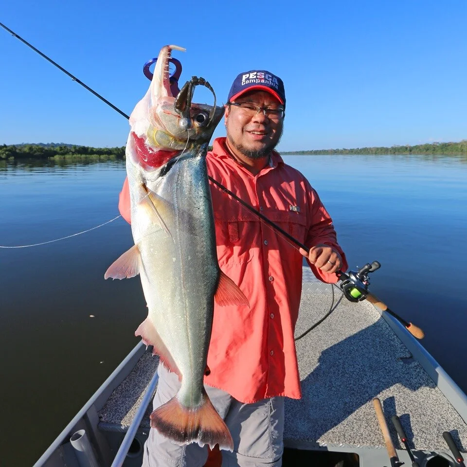 Brazilian Fishing with Alex Koike — Half Past First Cast