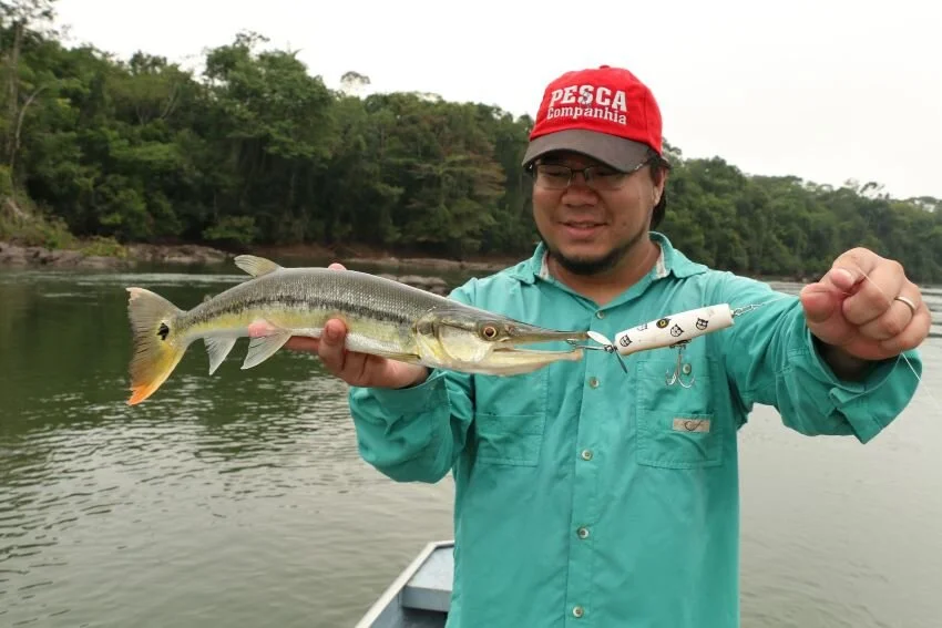 Brazilian Fishing with Alex Koike — Half Past First Cast