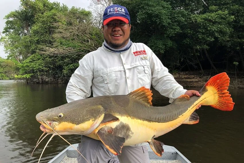 Four Amazing Brazilian Fishing Destinations Everyone Should Know — Half ...