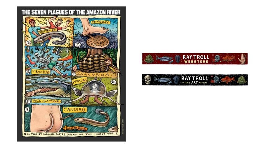 The Myth of the Candiru — Half Past First Cast