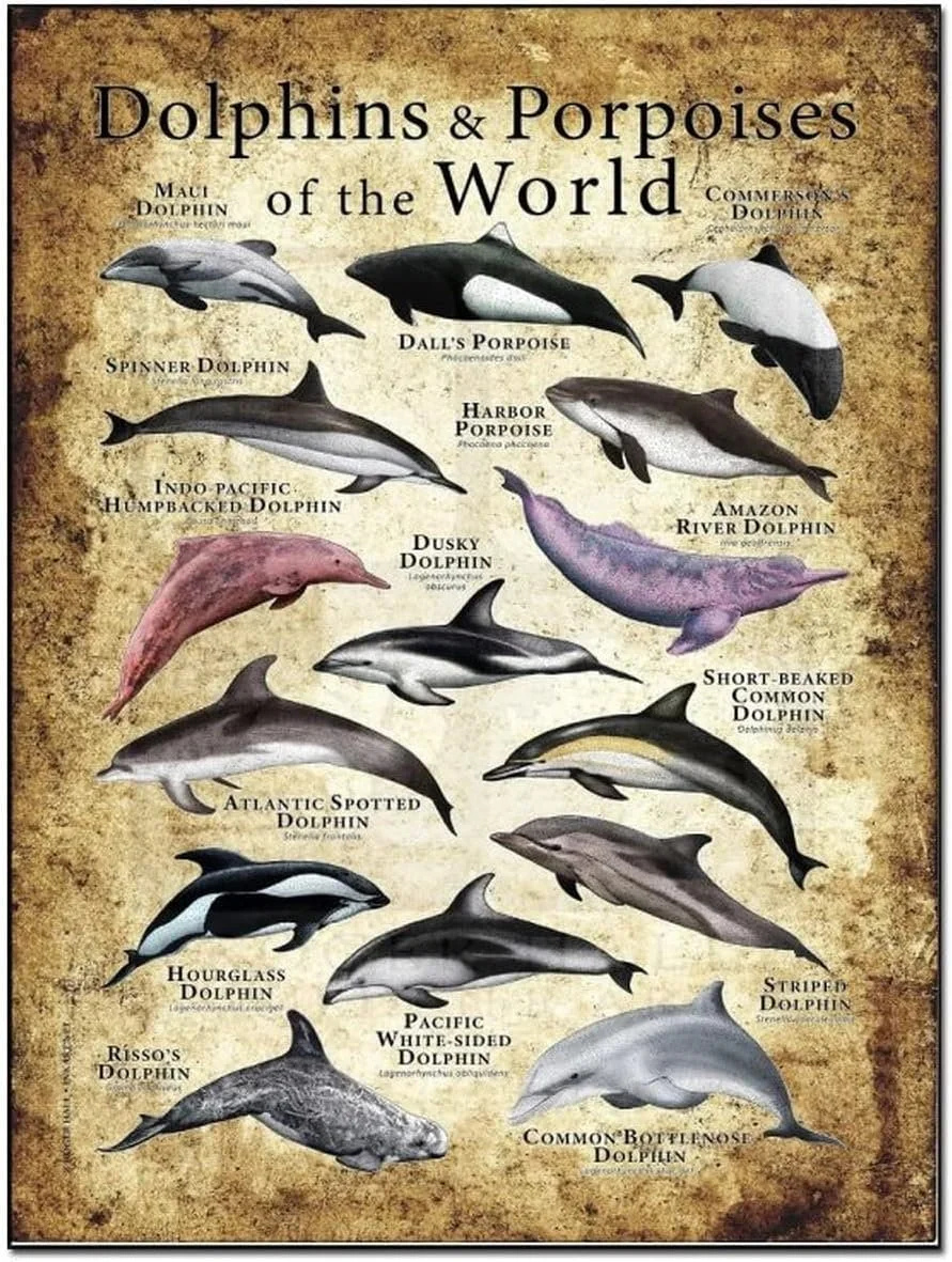 Welcome to the Dall House — Half Past First Cast