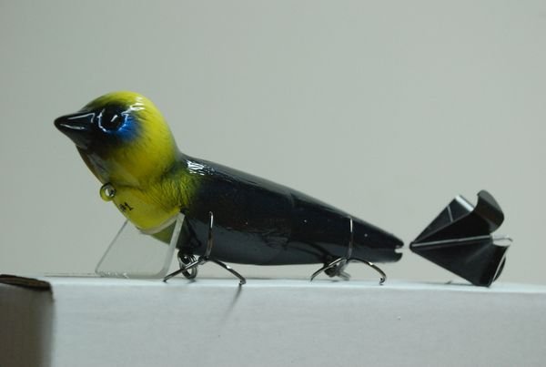 Beautiful and Bewildering Bird Baits for Bass — Half Past First Cast