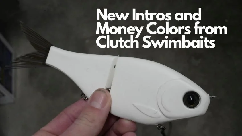 Clutch Colors for the Boss and Baby Boss — Half Past First Cast
