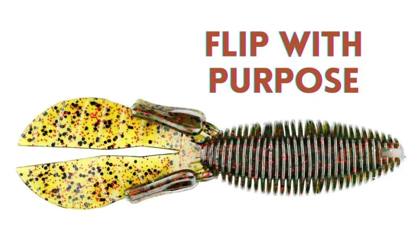 Ish’s Flipping Colors – Four Staples and Three Secrets (Updated 2025 ...