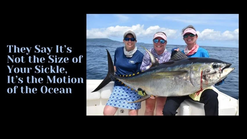 Why Do the Yellowfin Tuna in Panama Have Short Sickles? — Half Past ...