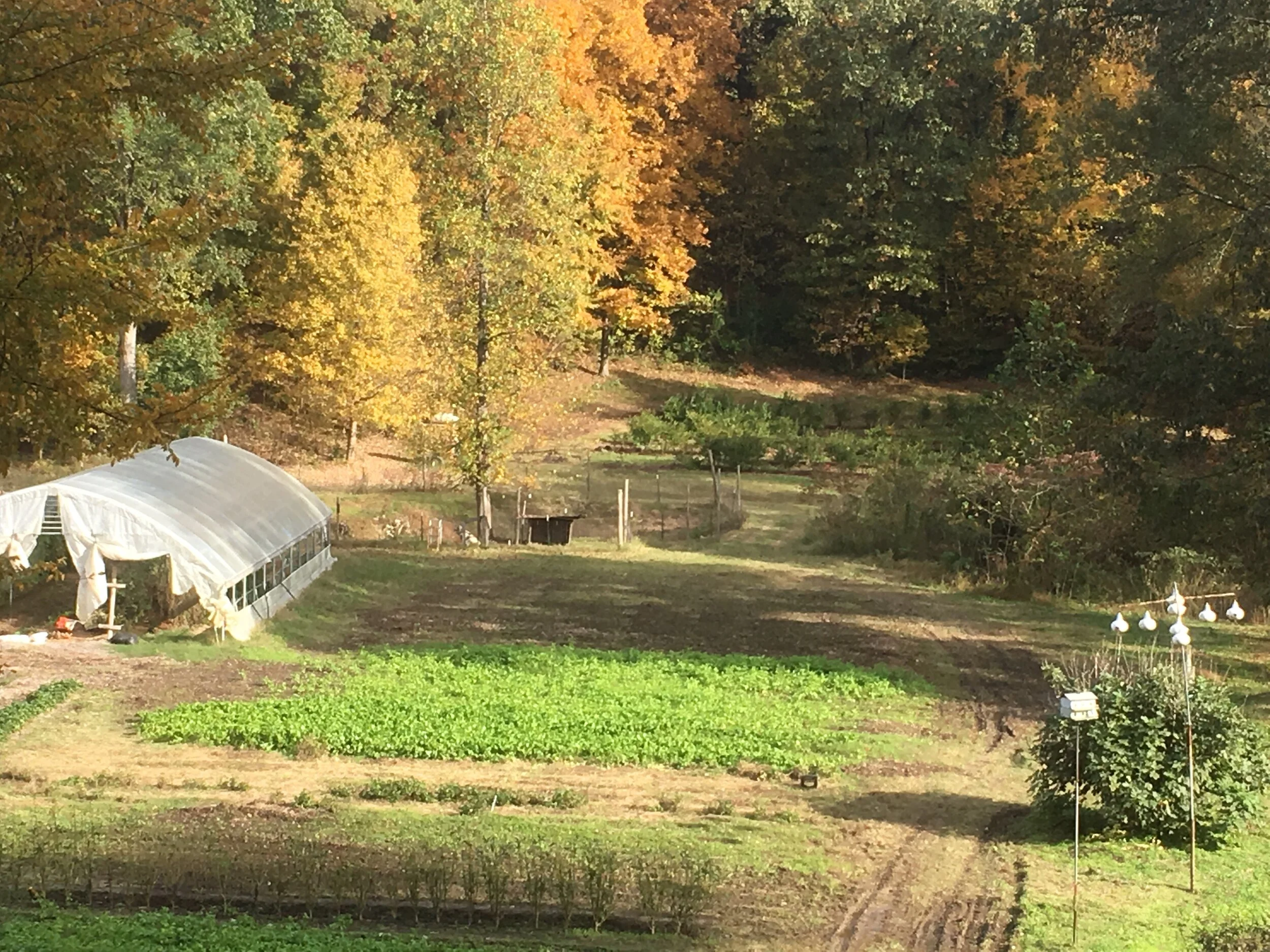 Windermere Farms & Apiaries