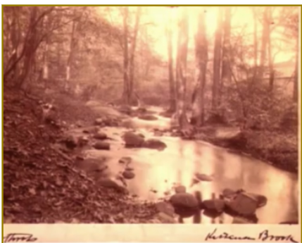 Article: Celebrating Agnes Northrop — Bowne House