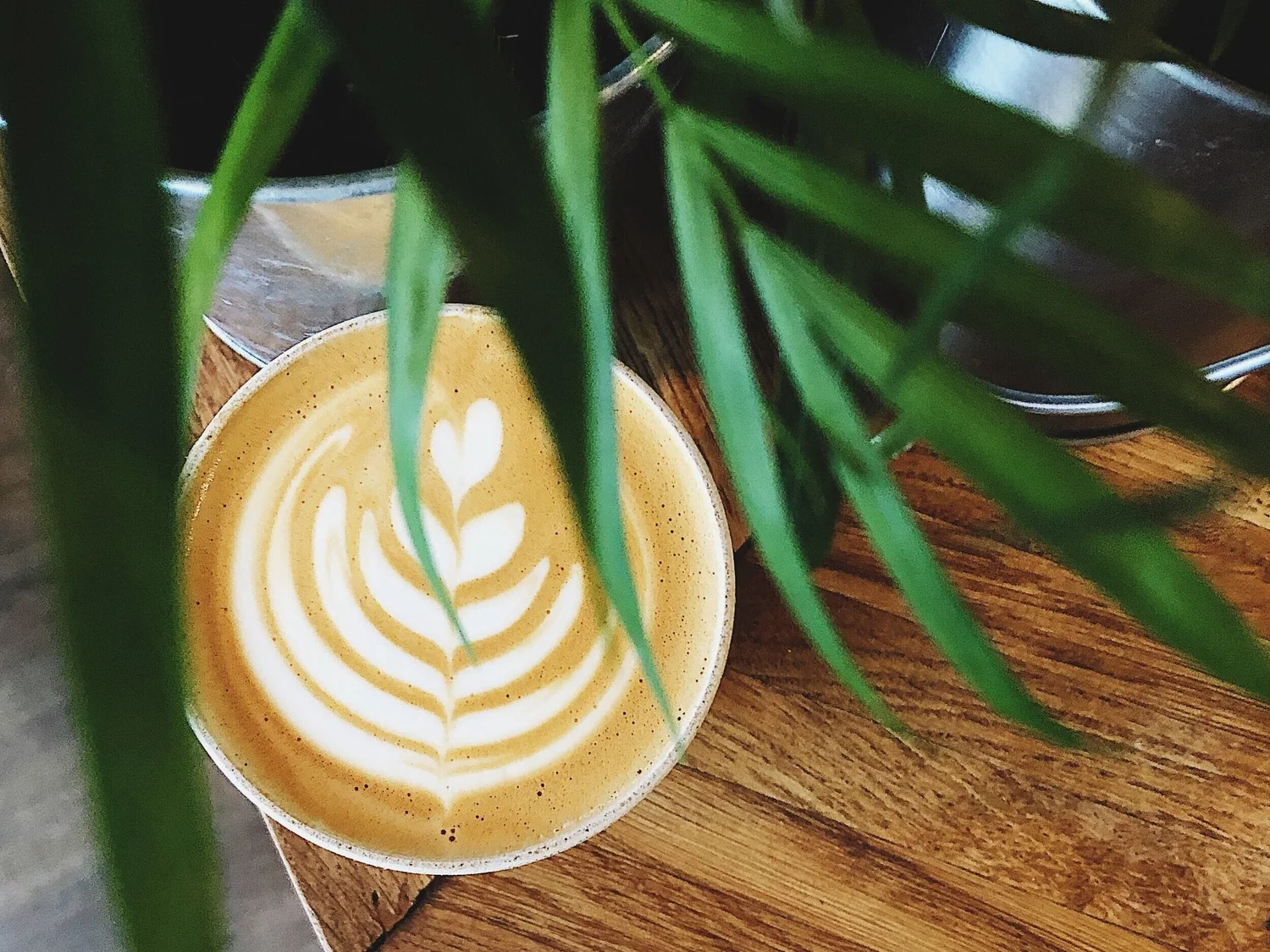 Orchard Lane Coffee House | Sandgate High Street