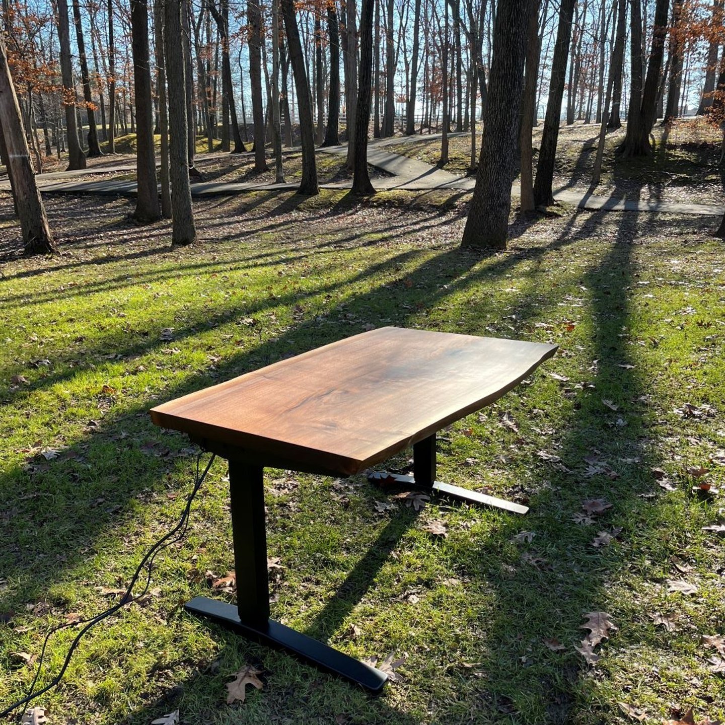 Edgewood Studio - Fine Home Furnishings and Housewares