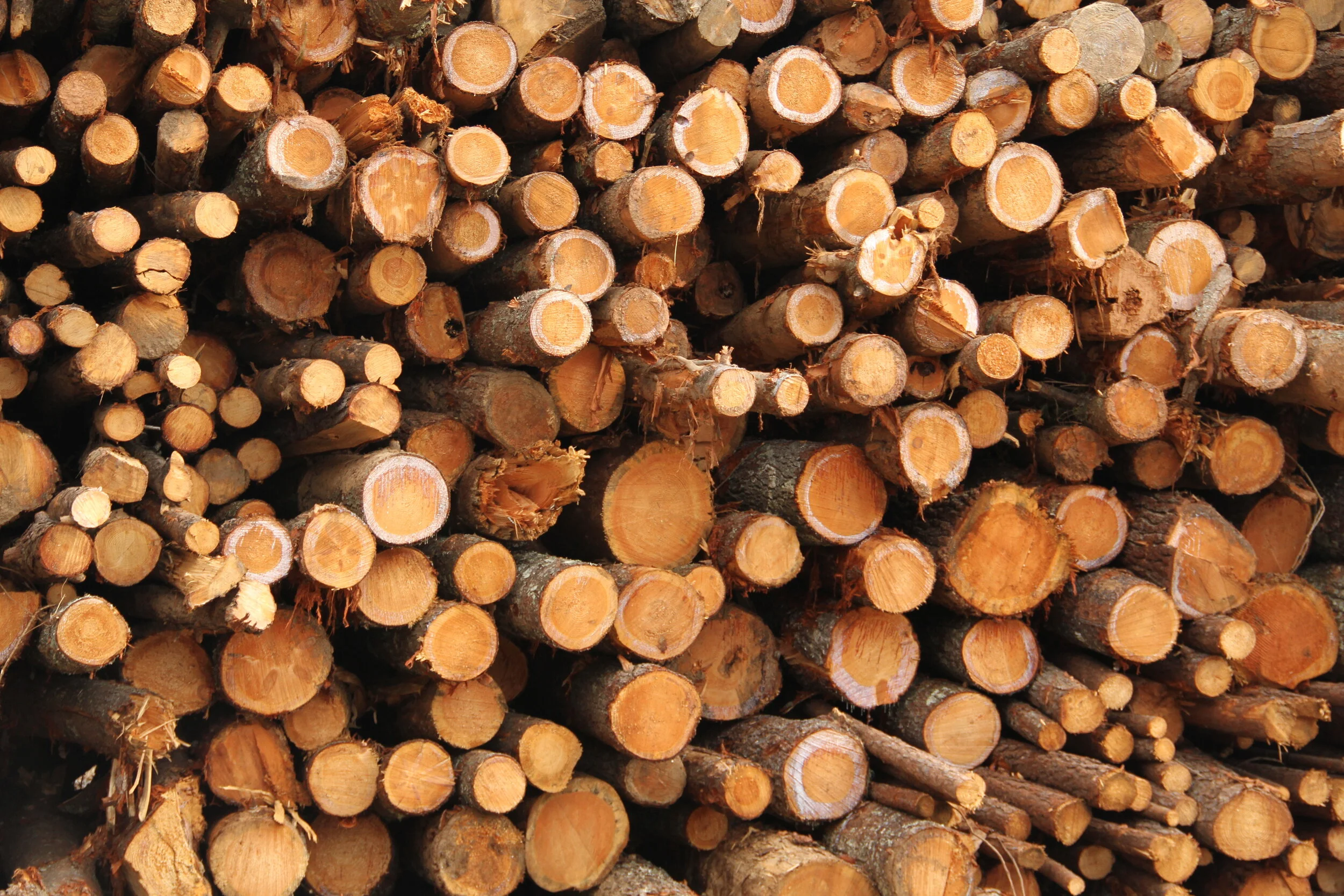 Mulch Process — Suncrest Mulch & More LLC