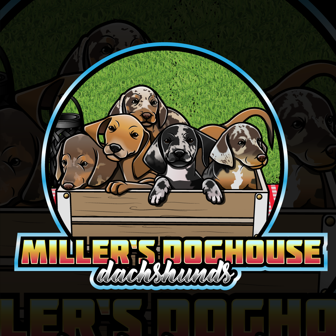Miller's Doghouse