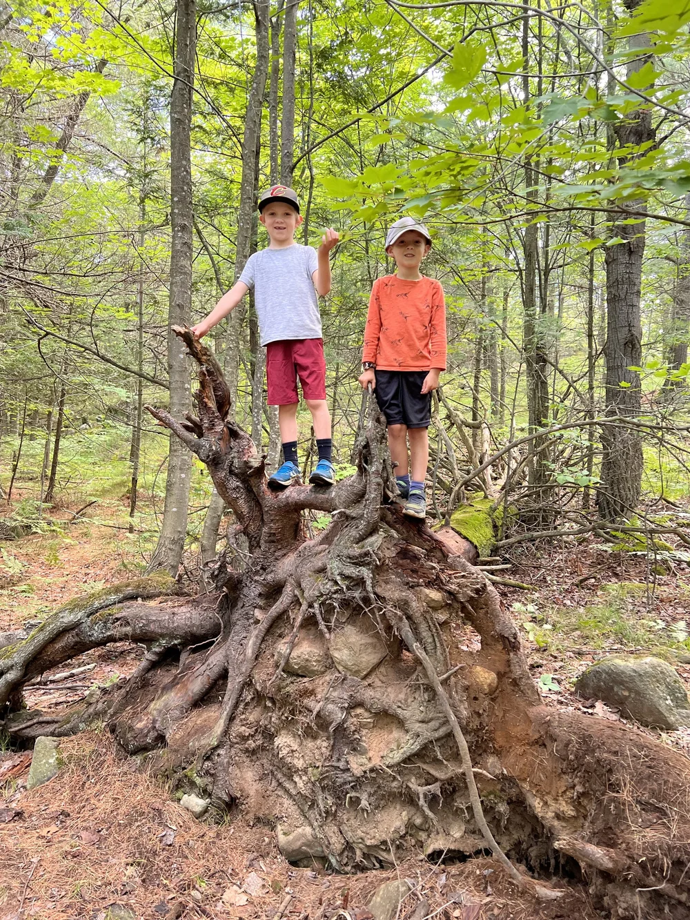 Parry Sound Forest School