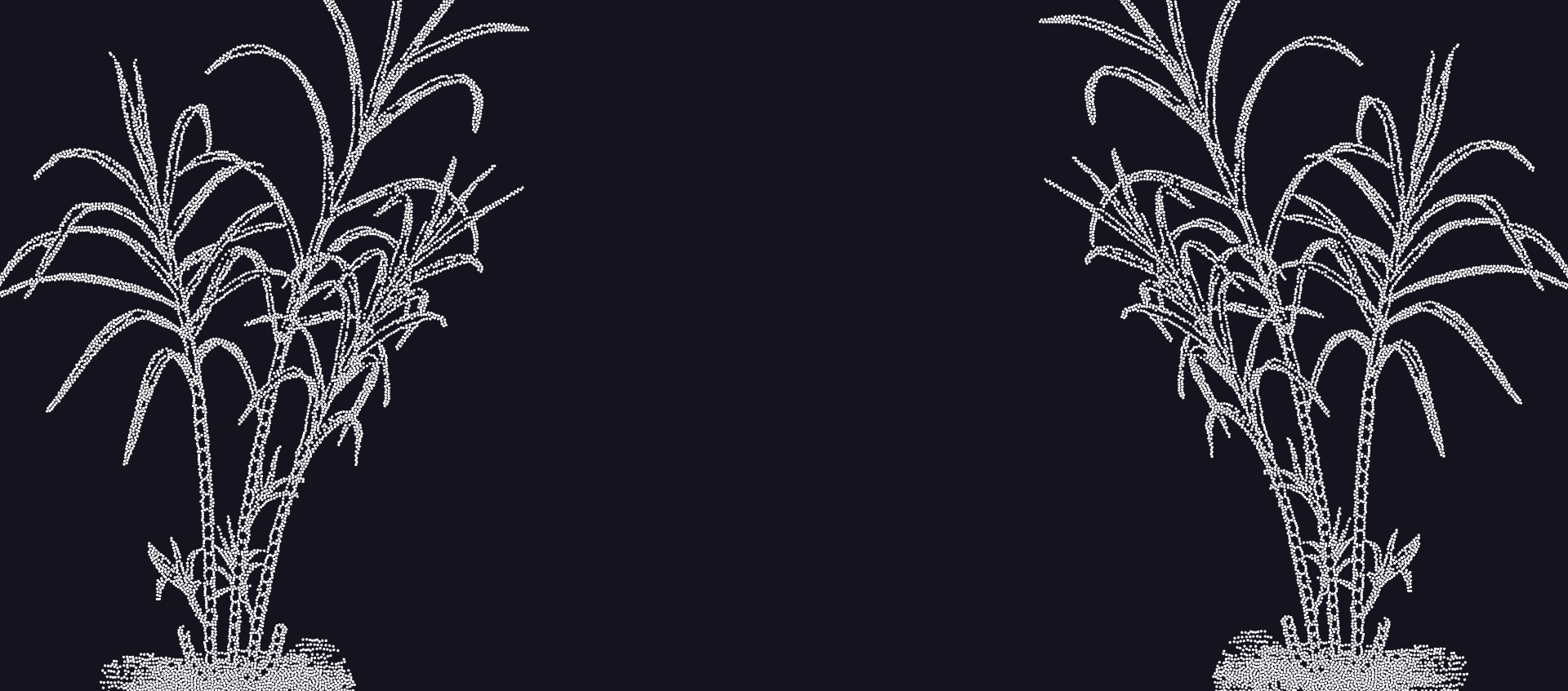 Our Spirits | Cachaça, Cane Vodka & Cane Gin — Blue Rook Distillery