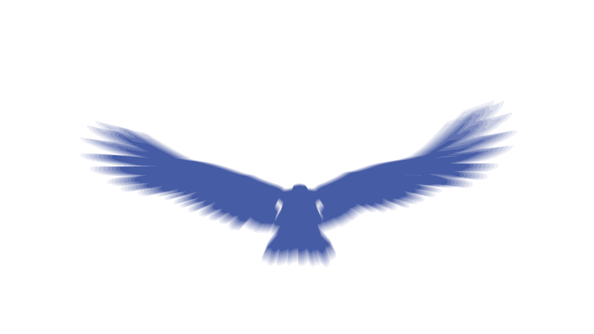 Blue Rook Distillery - Cachaça, Cane Vodka & Cane Gin - Danville, KY