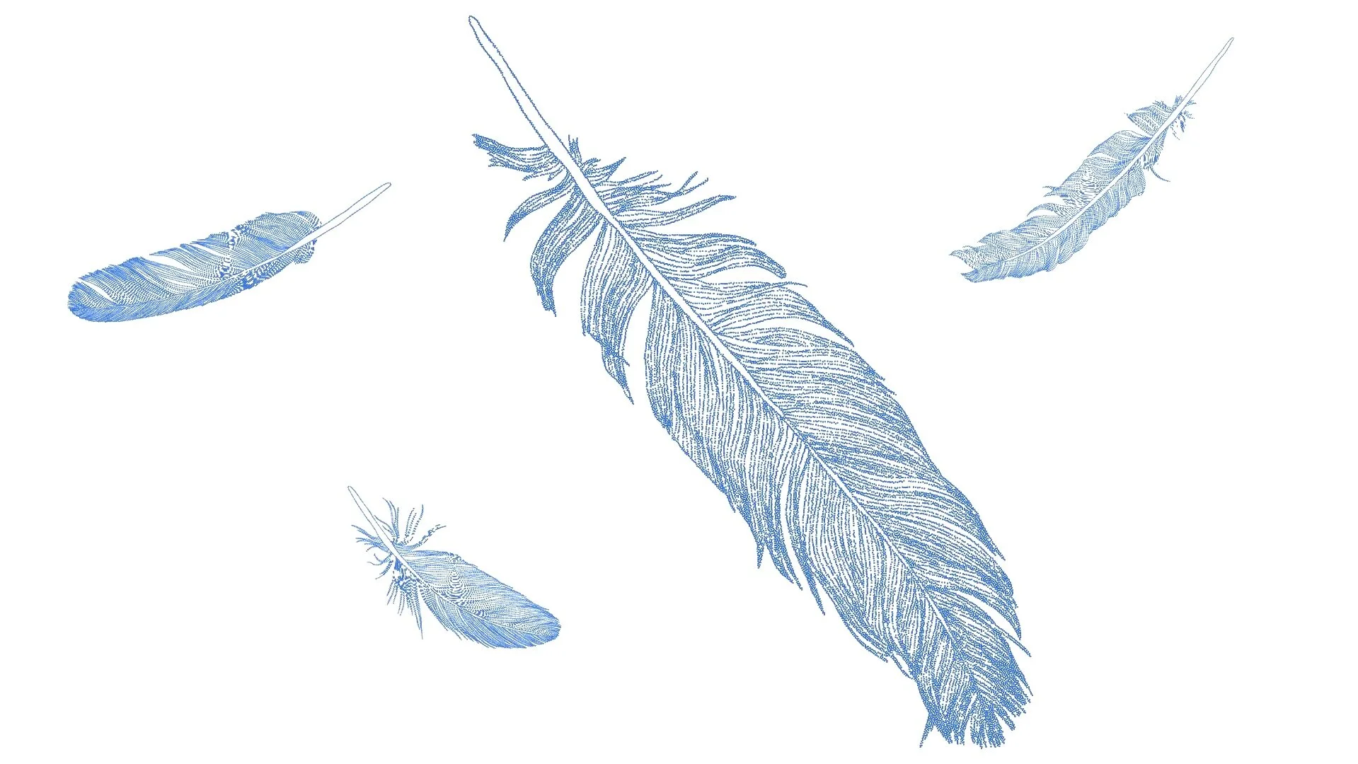 Our Spirits | Cachaça, Cane Vodka & Cane Gin — Blue Rook Distillery