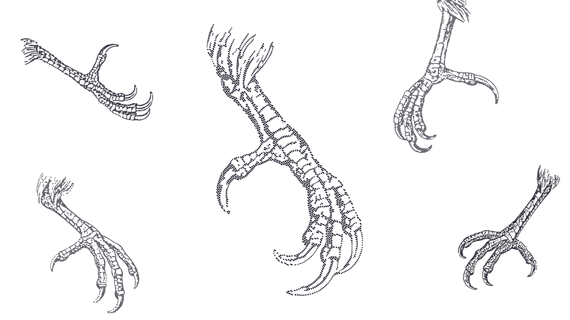 Our Spirits | Cachaça, Cane Vodka & Cane Gin — Blue Rook Distillery