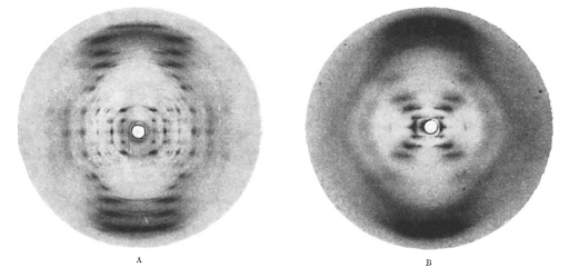 The Story of DNA Discovery — Youth STEM 2030