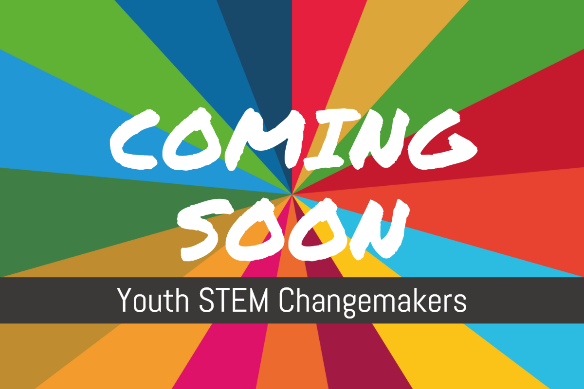 Youth STEM 2030
