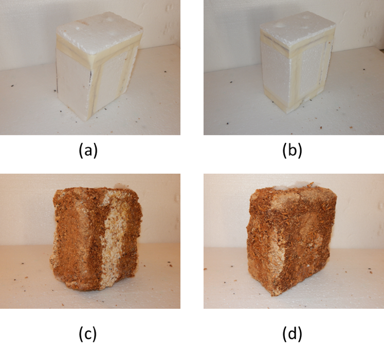 The Use of Mycelium Bio-Composites for Environmentally Sustainable ...
