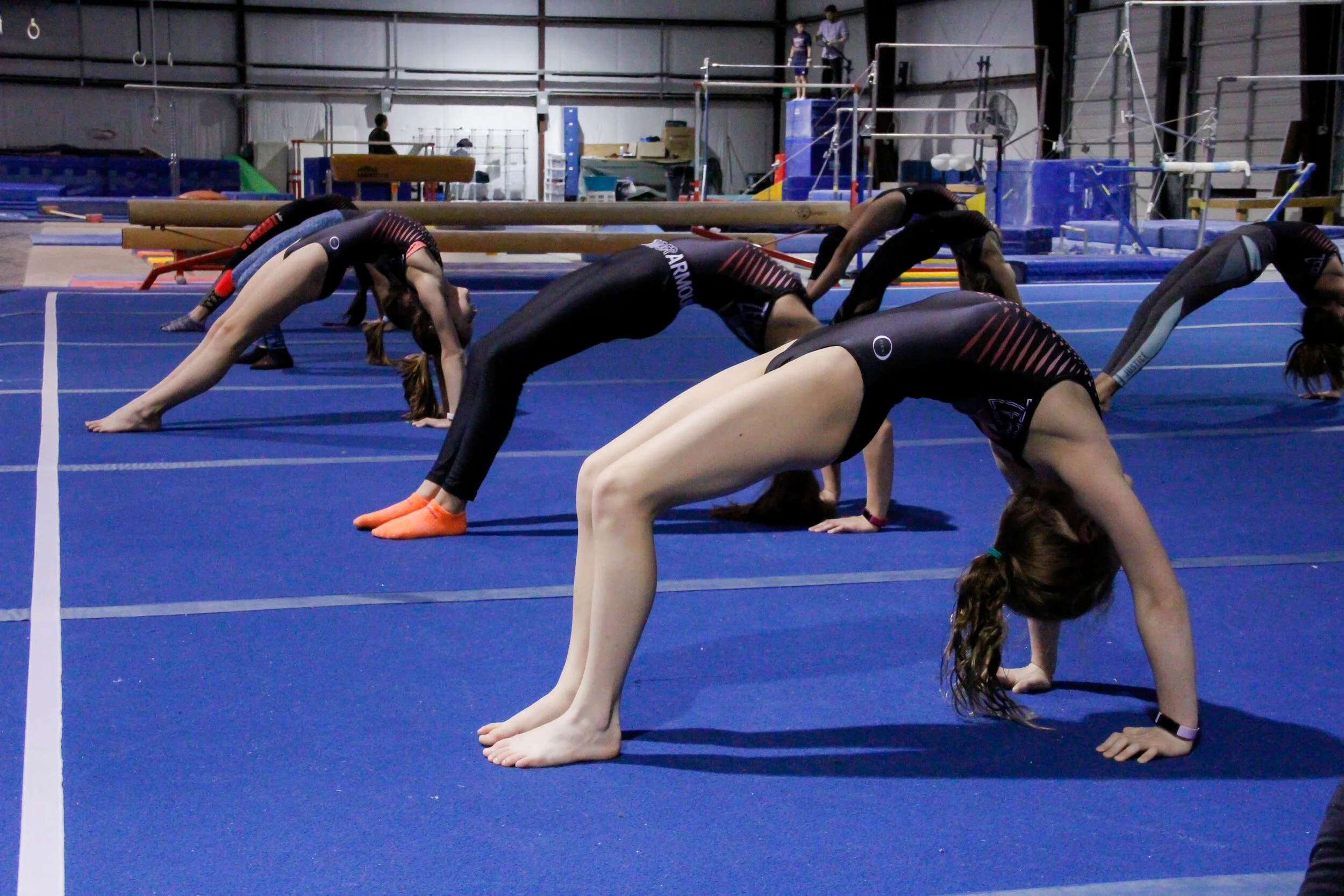 Contact — Zero Gravity Gymnastics Academy