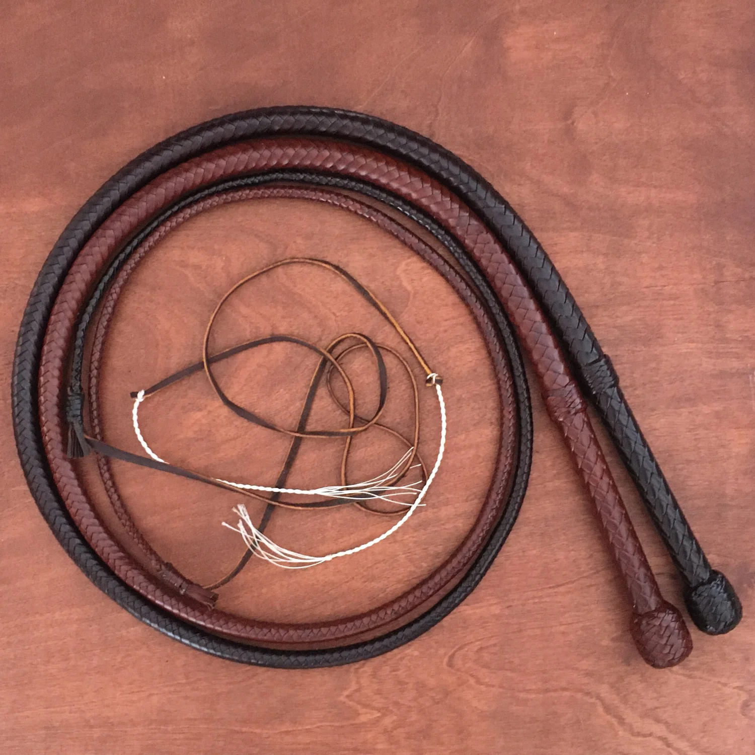 Custom Whip Models — Swordguy Builds