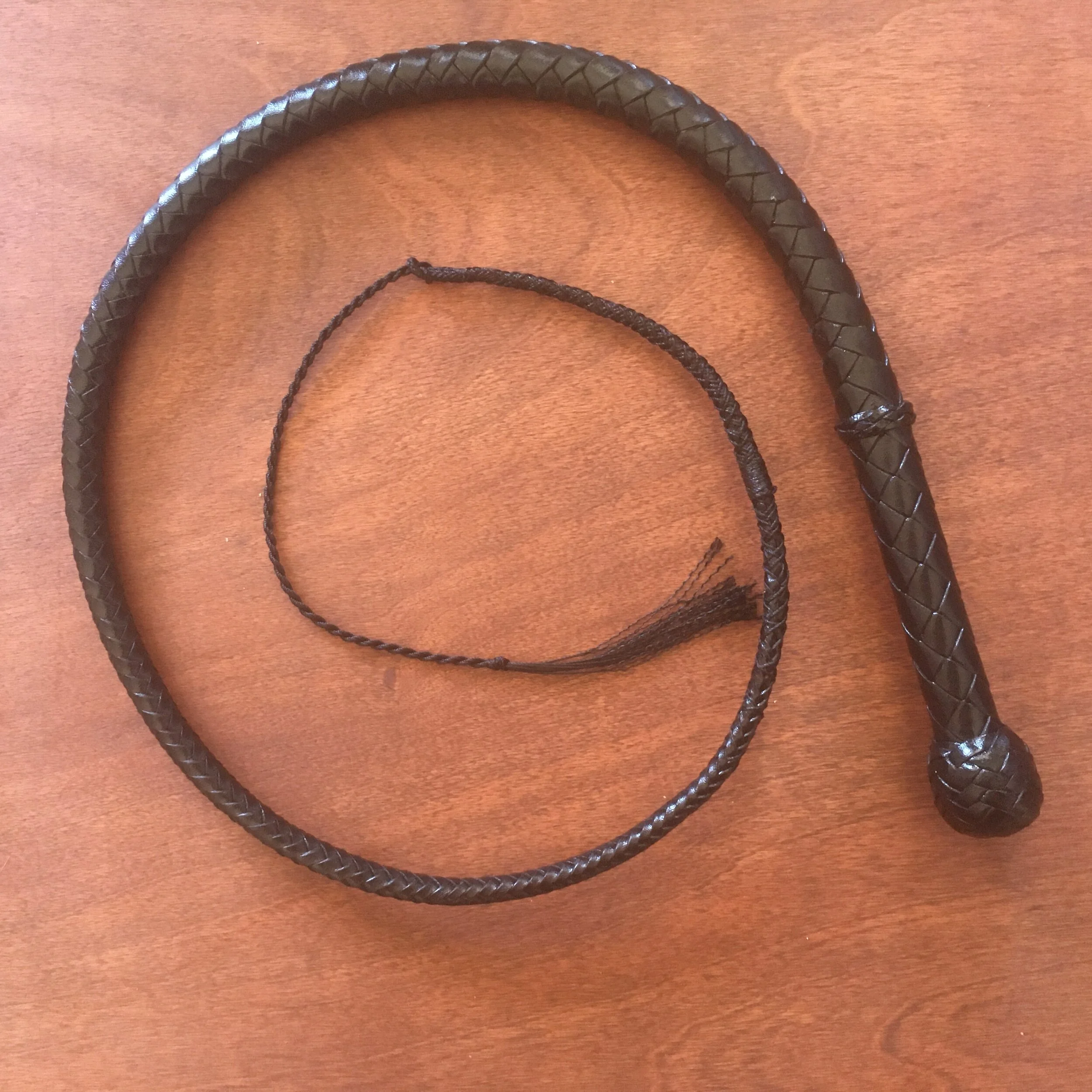 Custom Whip Models — Swordguy Builds