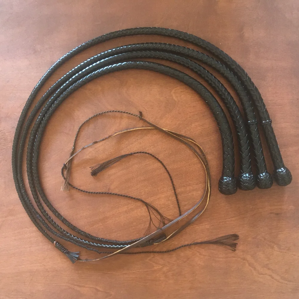 Custom Whip Models — Swordguy Builds