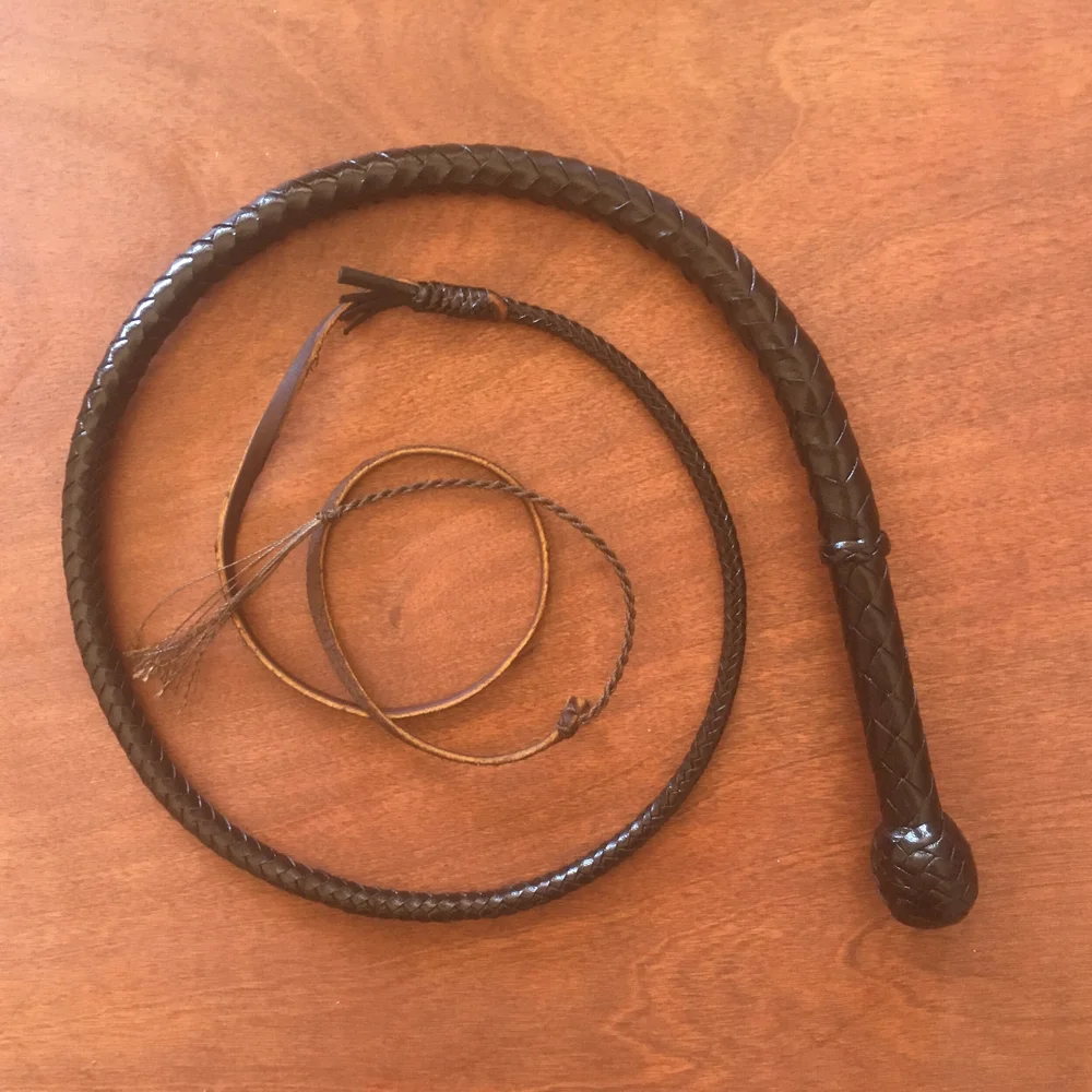 Custom Whip Models — Swordguy Builds