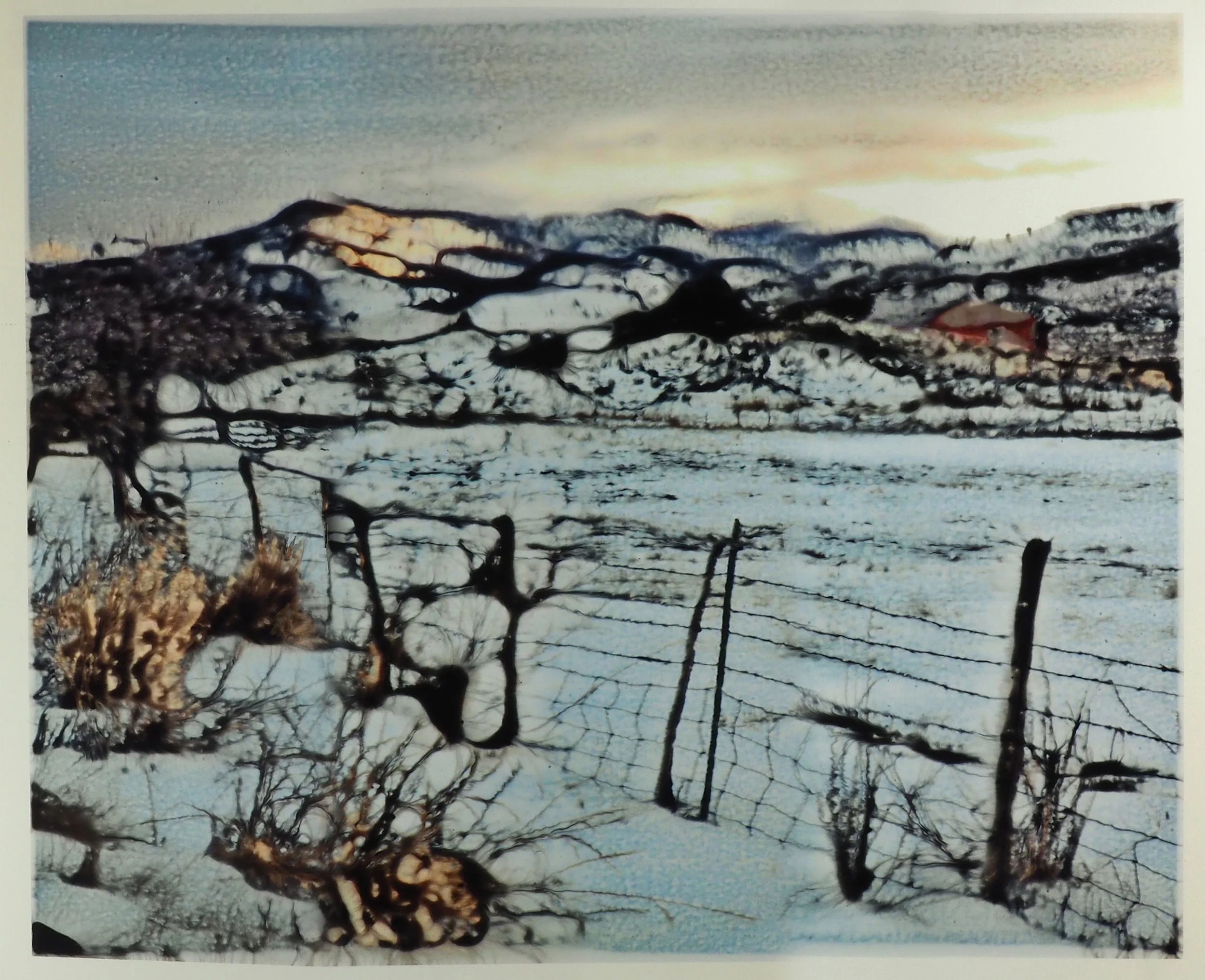 Photography from Artists Local to Portland Oregon — Red Trillium Gallery