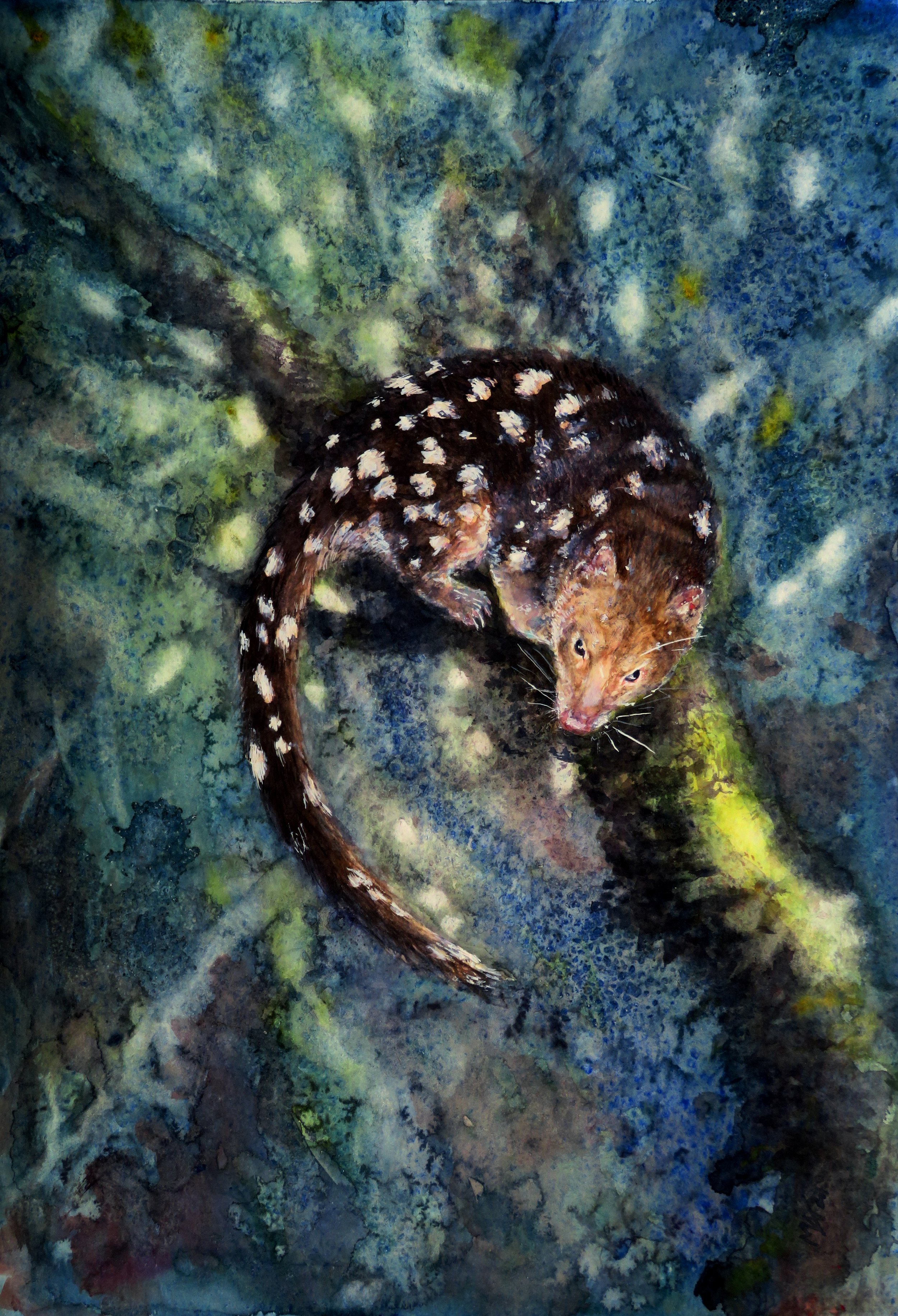 Original artwork: Galaxy Quoll (green forest) — Mel Hills * Wild Art