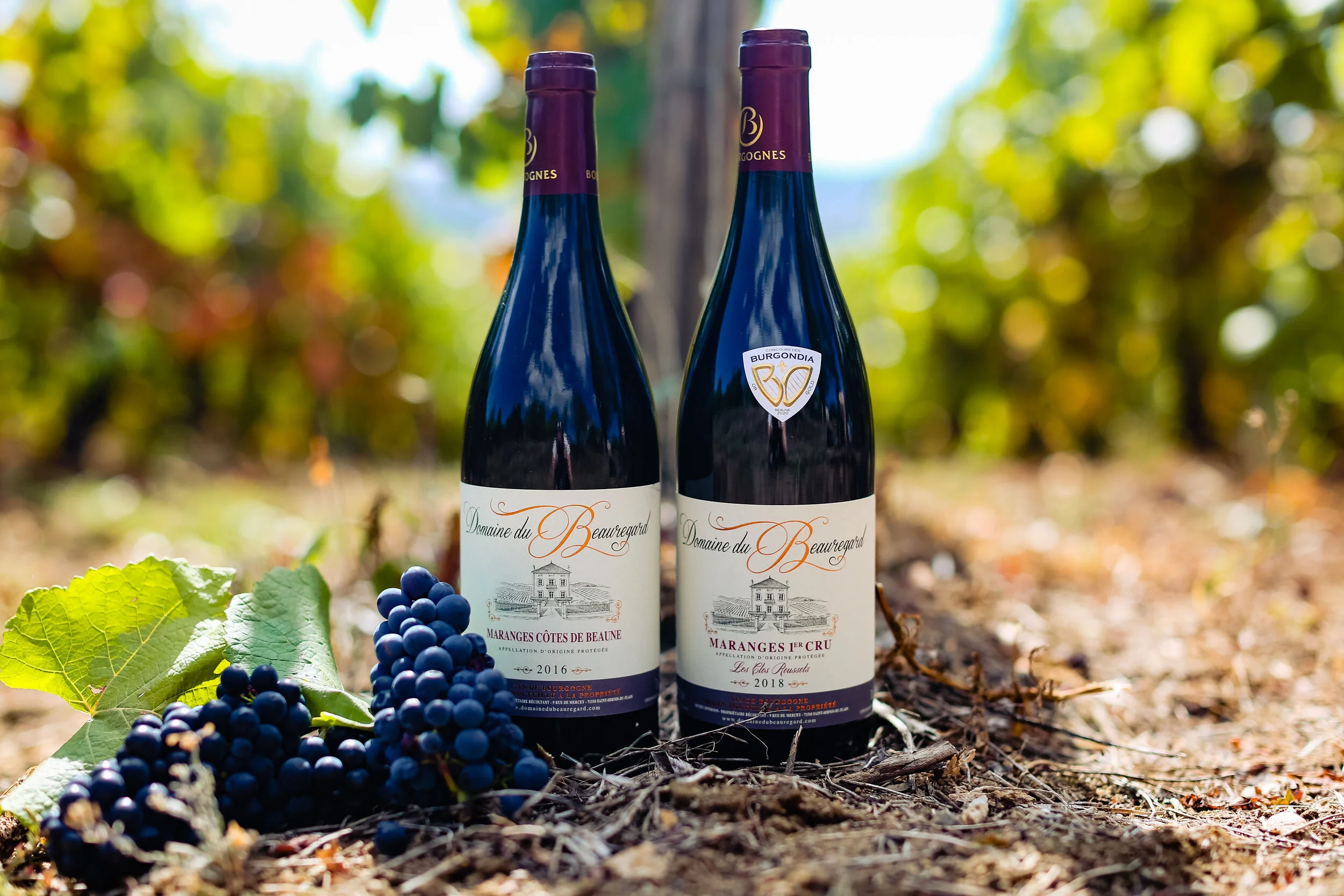 Domaine Du Beauregard Domaine Du Beauregard