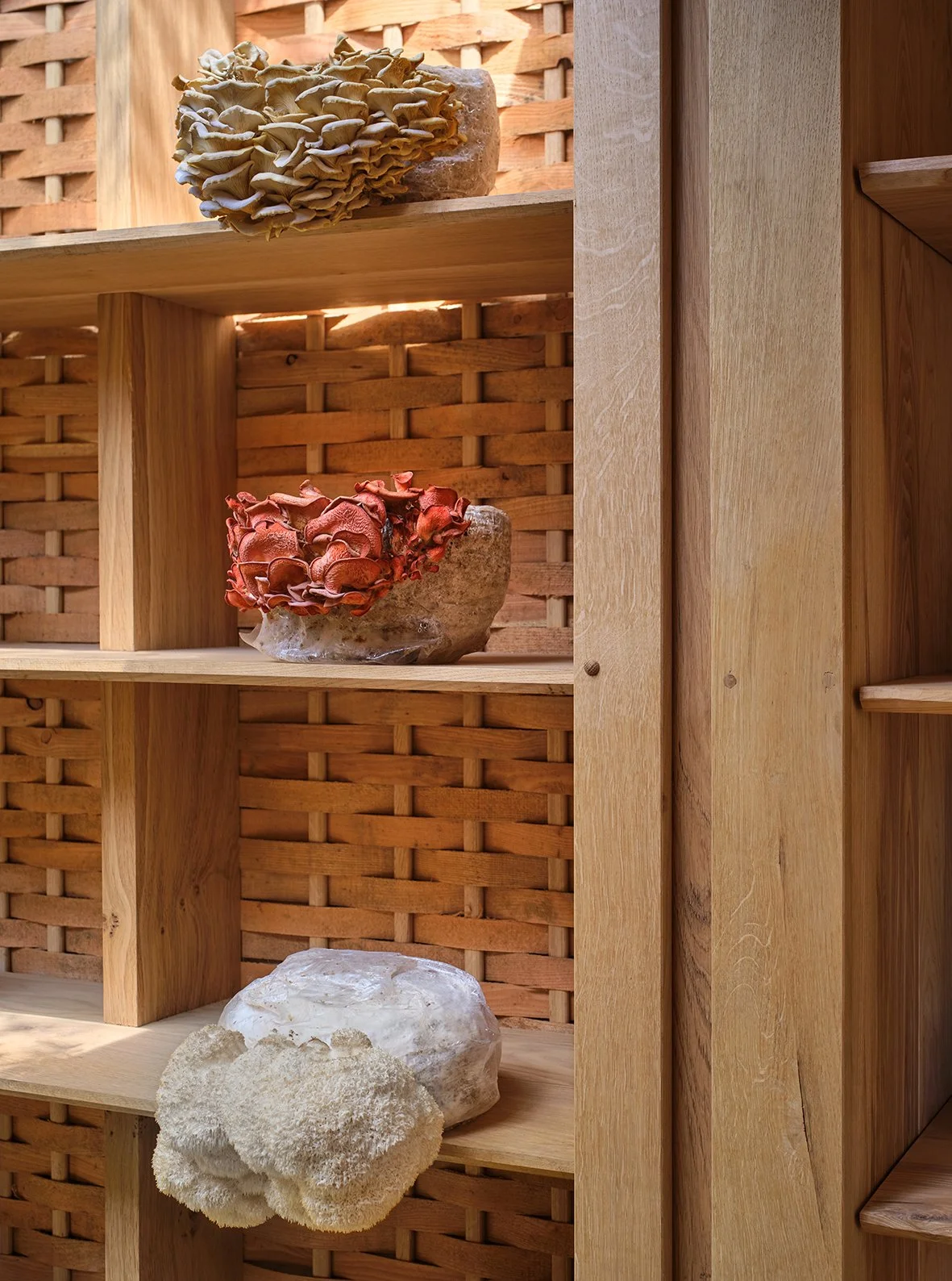 The Mycelium Pavillion | A groundbreaking pavilion made from ...