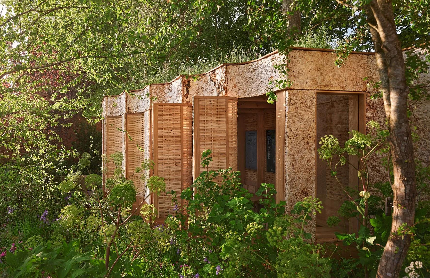 The Mycelium Pavillion | A groundbreaking pavilion made from ...