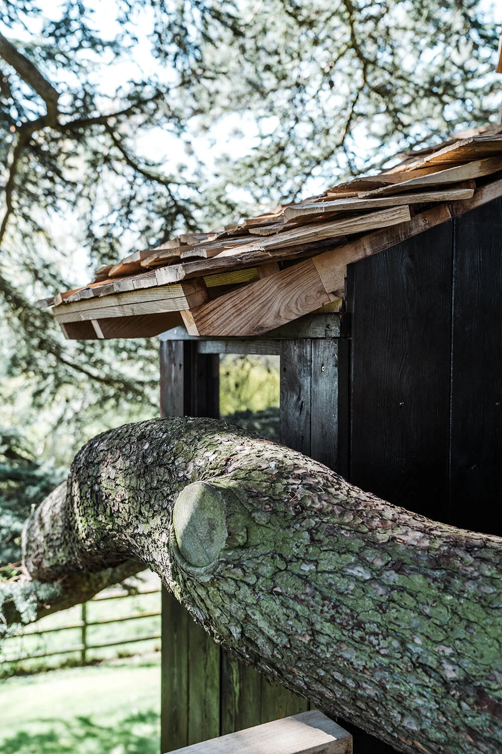 A bespoke treehouse designed and made by Sebastian Cox Ltd | Sebastian Cox