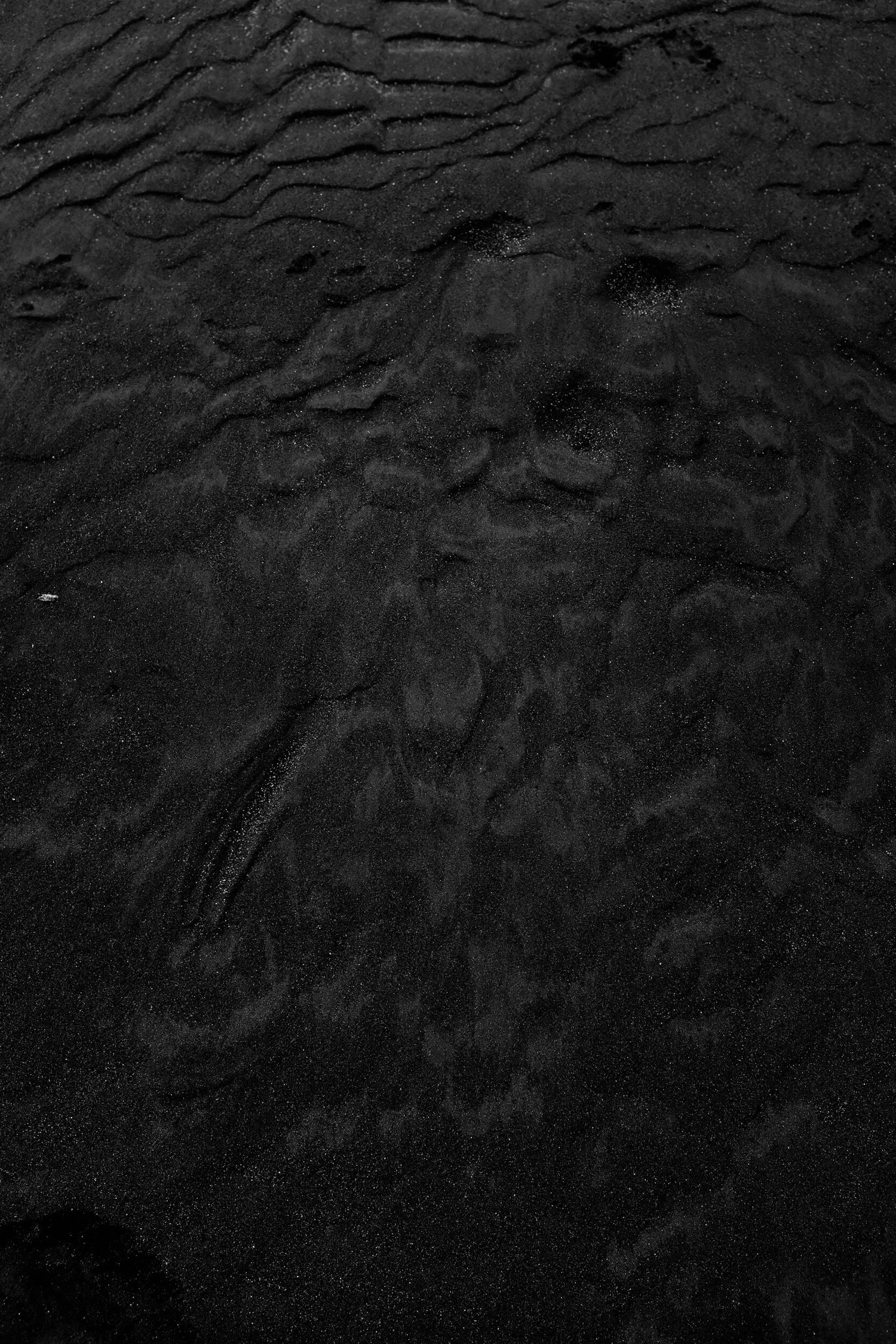 Services — Curtis Holt