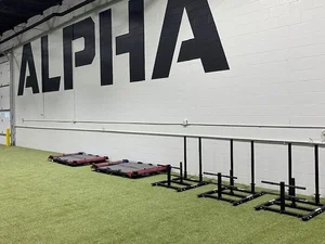 Alpha Human Performance