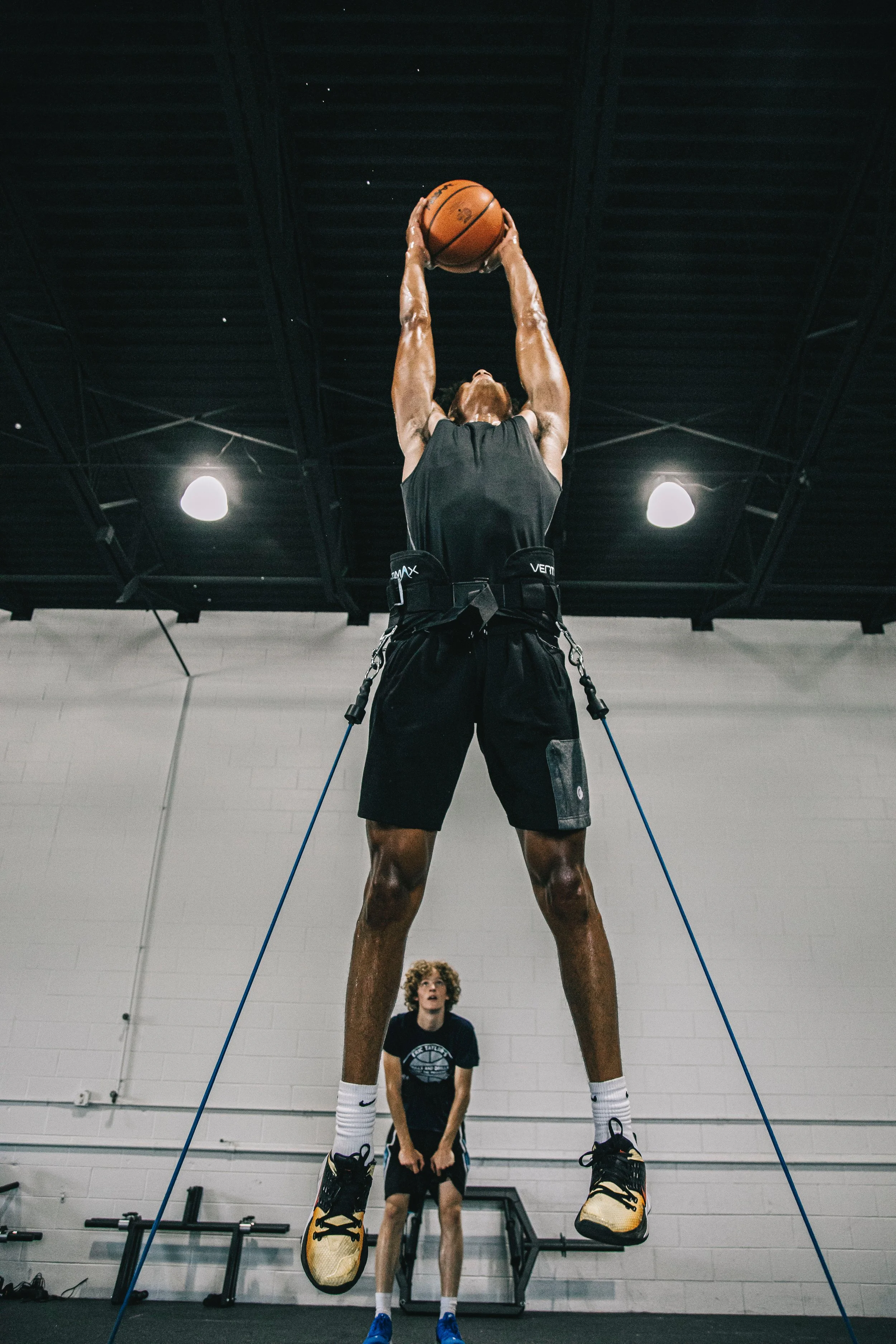 Services 4 — Alpha Human Performance