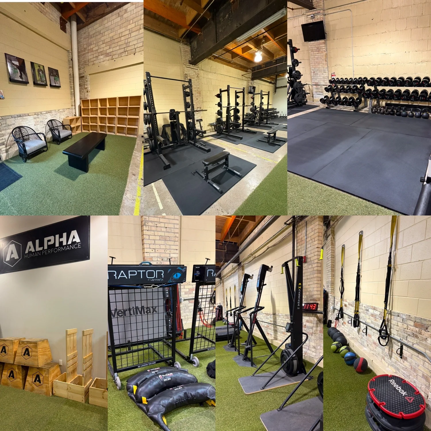 Alpha Human Performance