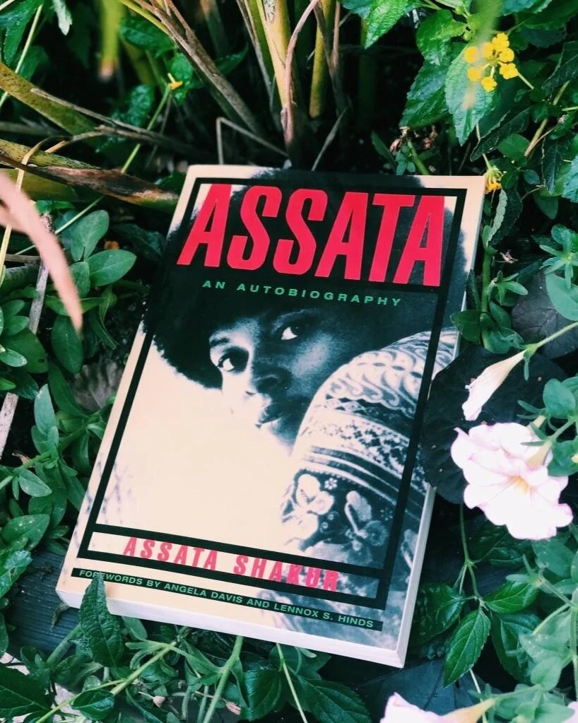 A Guide To Books On Prison Abolition (intro) | abolition notes