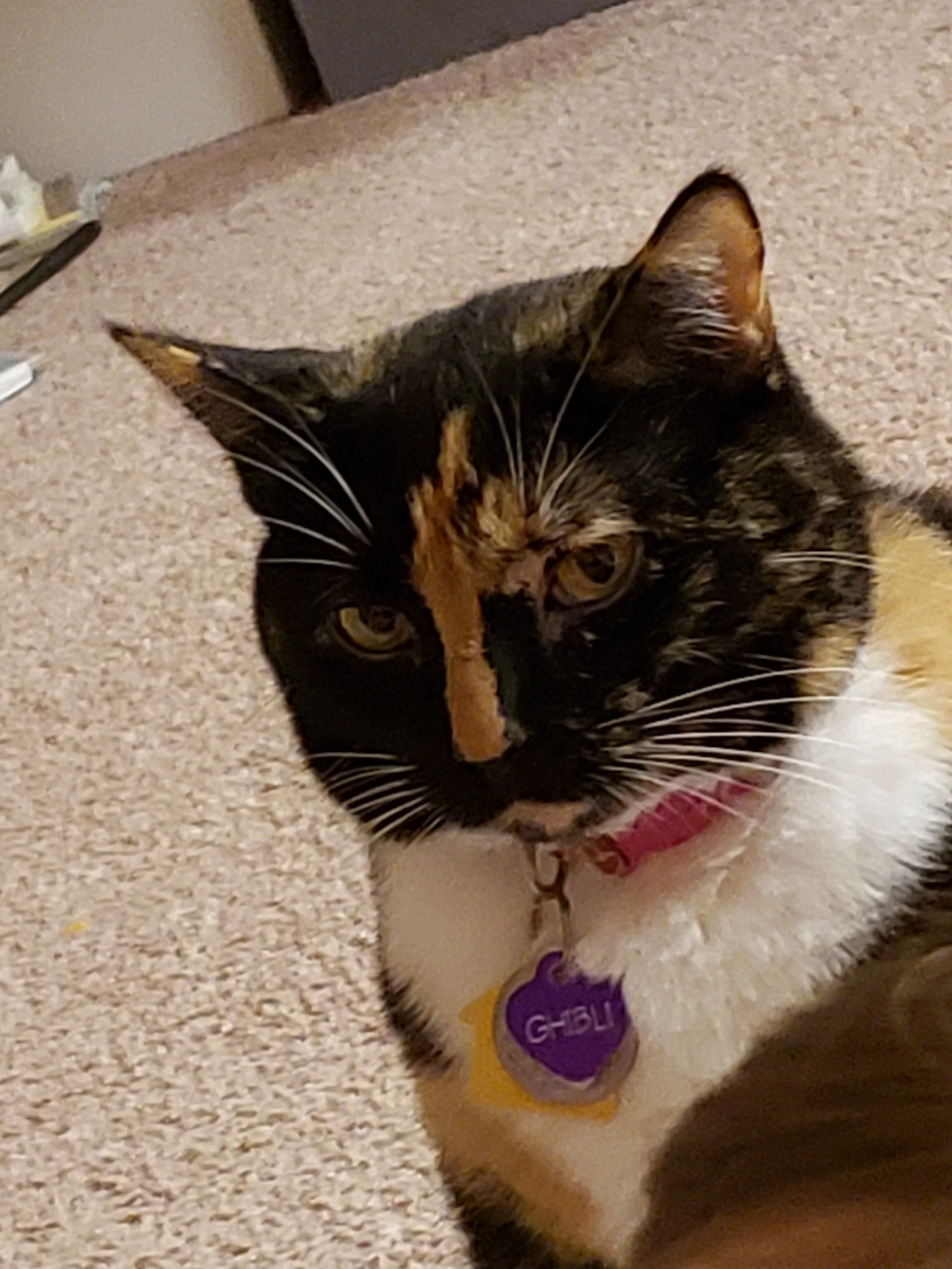 Employees — Community Uplift Program