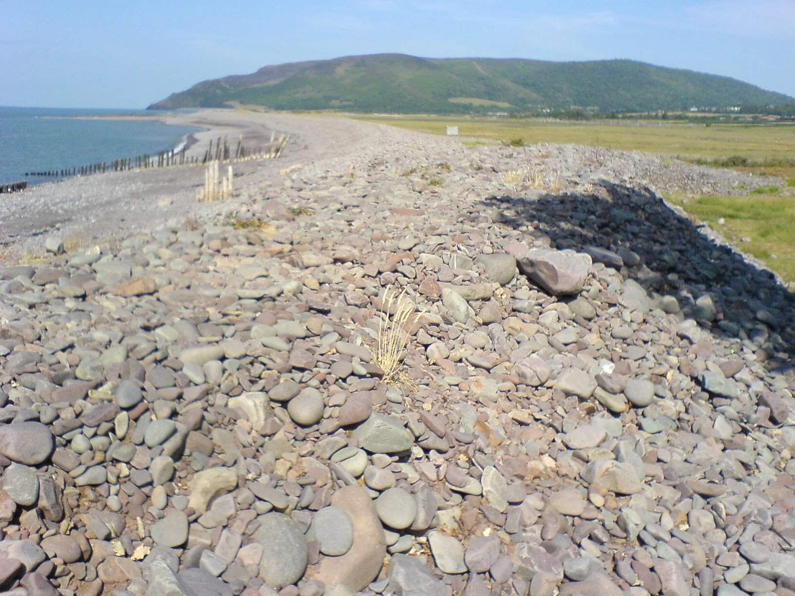 In memory of those no longer with us — Carry Forth Tradition