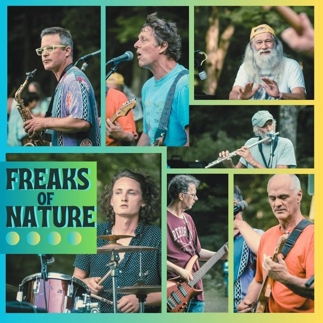 Bands & Schedule — Driftless Music Festival